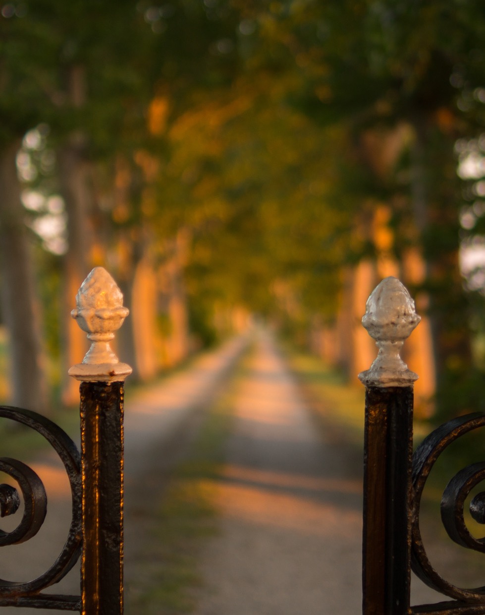 The Basics of Gated Content for School Marketers | Cursive Content